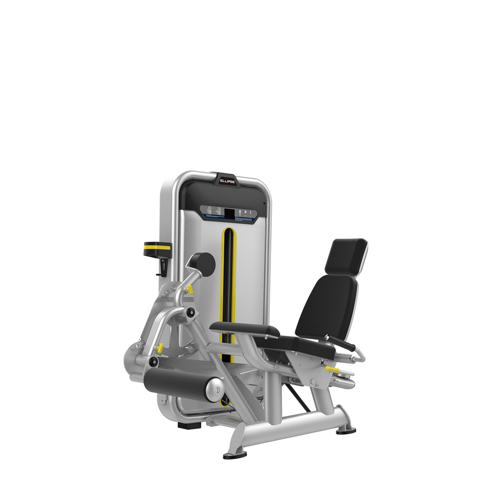 EXTENSION QUADRICEPS - Synergies Vector